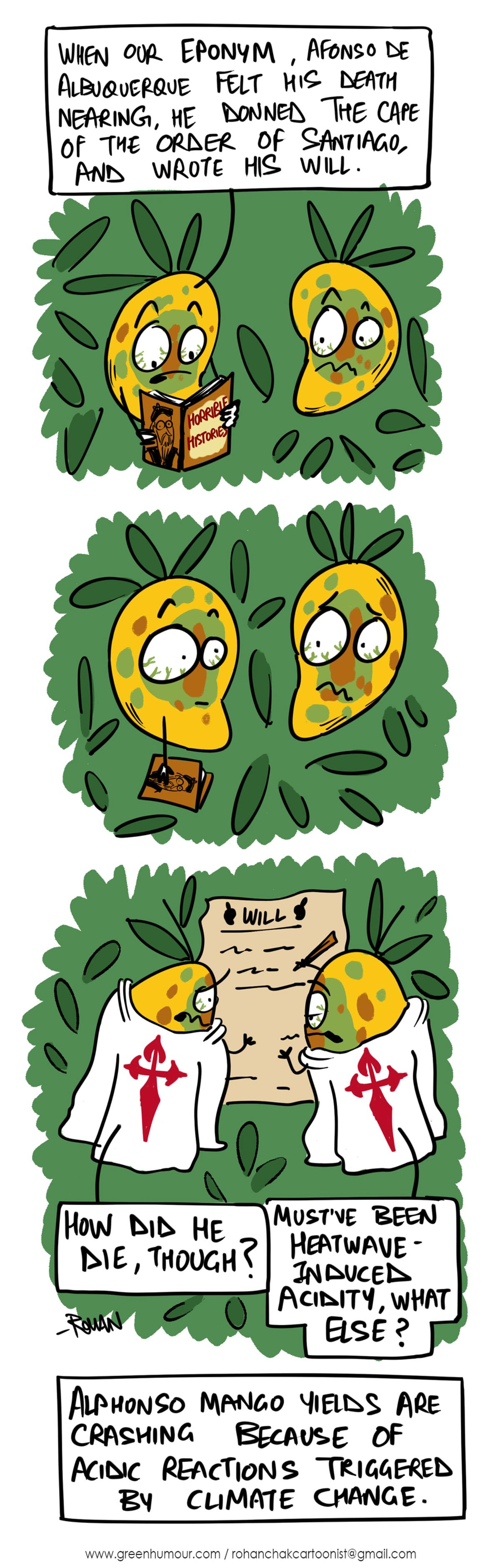 Climate change and the Alphonso mango | Green Humour by Rohan Chakravarty - The Hindu