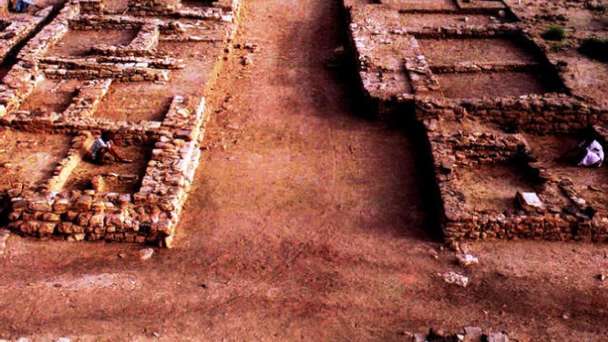 The Hindu Science Quiz: Of Harappan animals and Biblical camels - The Hindu