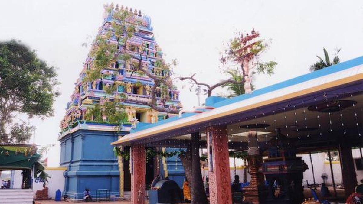 Where the temple tank seldom dries up - The Hindu