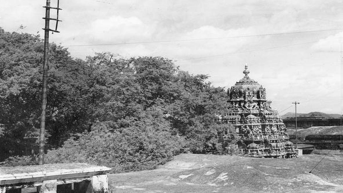 How Ramanuja was guided by the hymns of nammazhwar - The Hindu