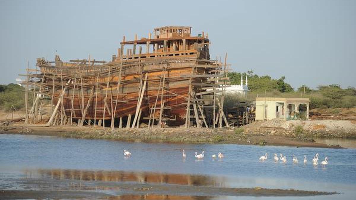 Mandvi’s 400-year-old dhow-making tradition in Gujarat’s Kutch district ...