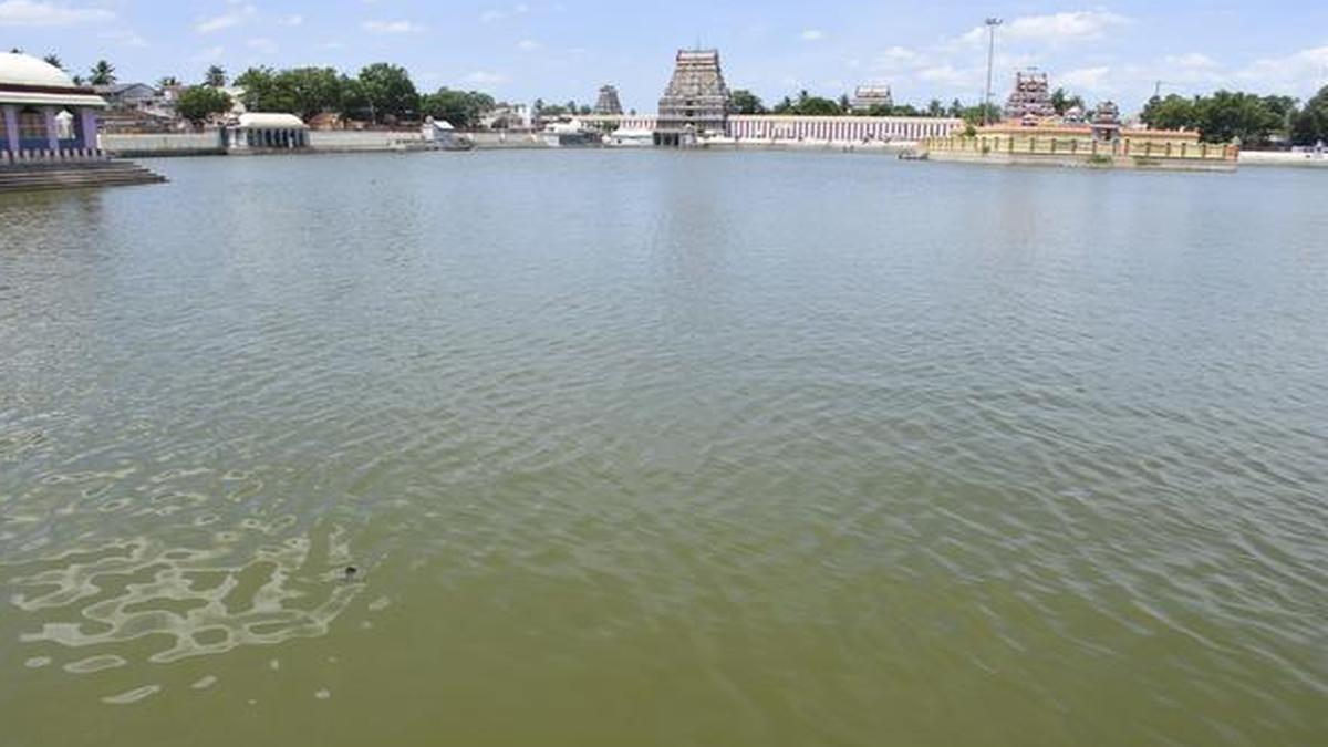 A journey to Tiruvarur - The Hindu