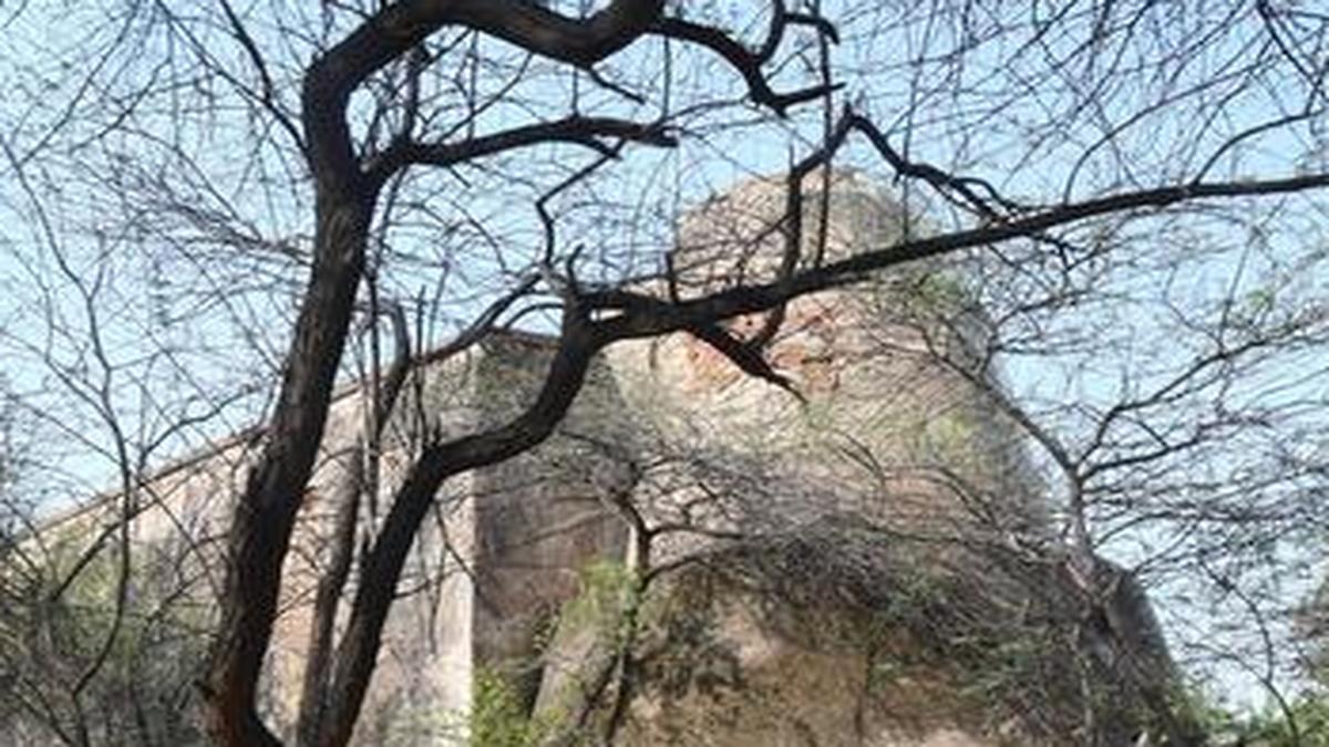 The weird saint of Mehrauli - The Hindu