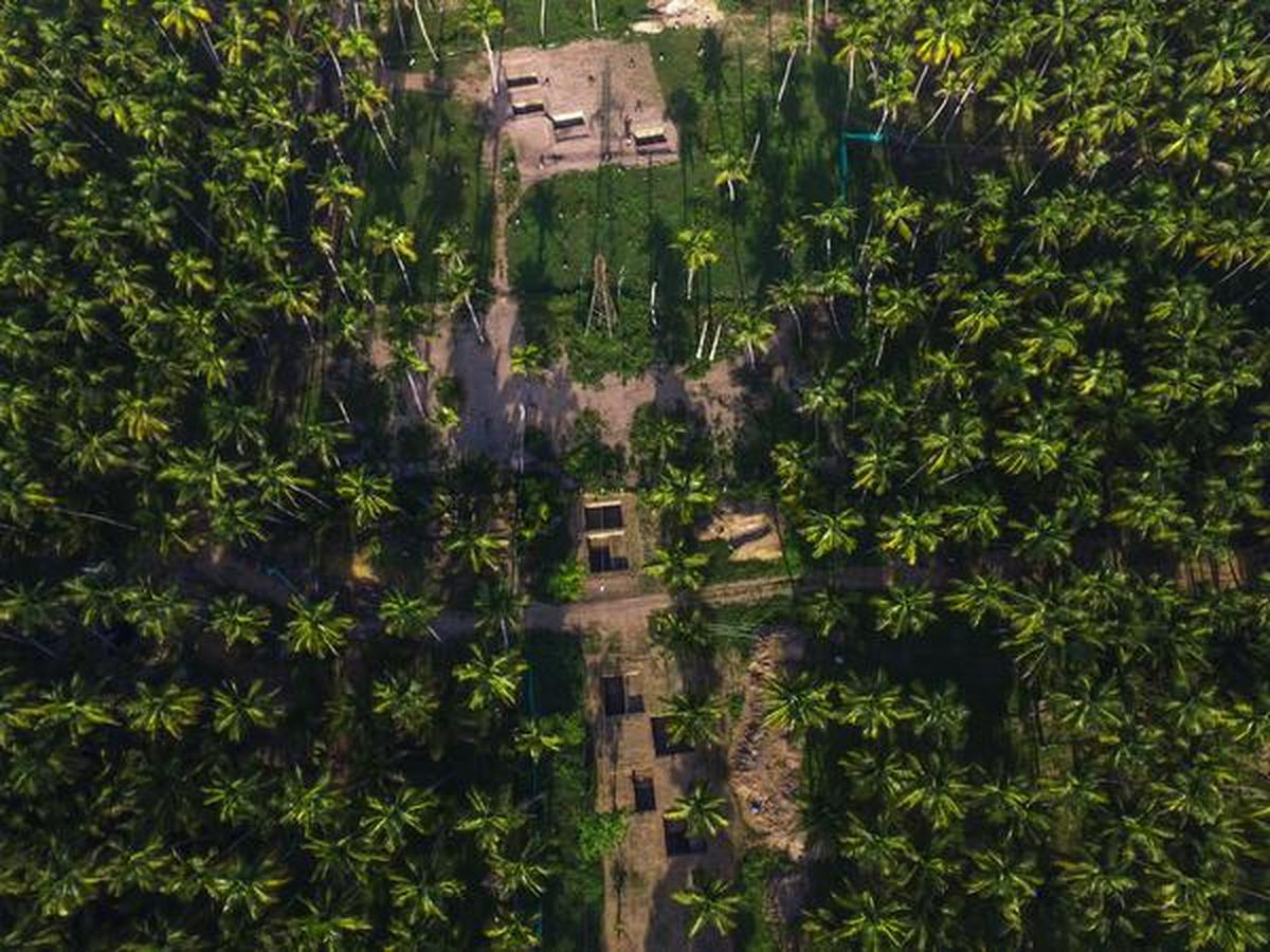 Excavations in Keeladi yields its secrets - The Hindu