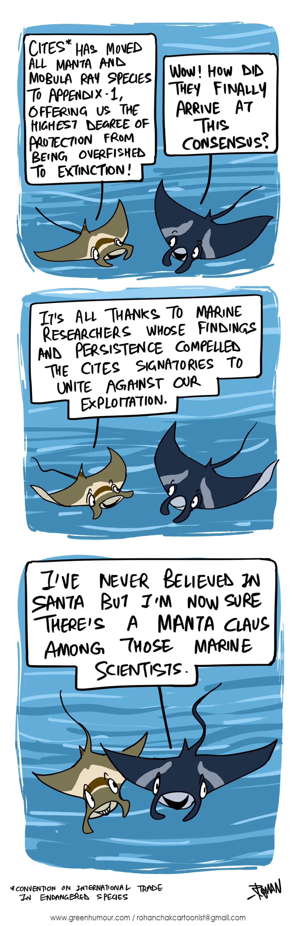 Protection from wildlife trade for manta rays | Green Humour by Rohan ...
