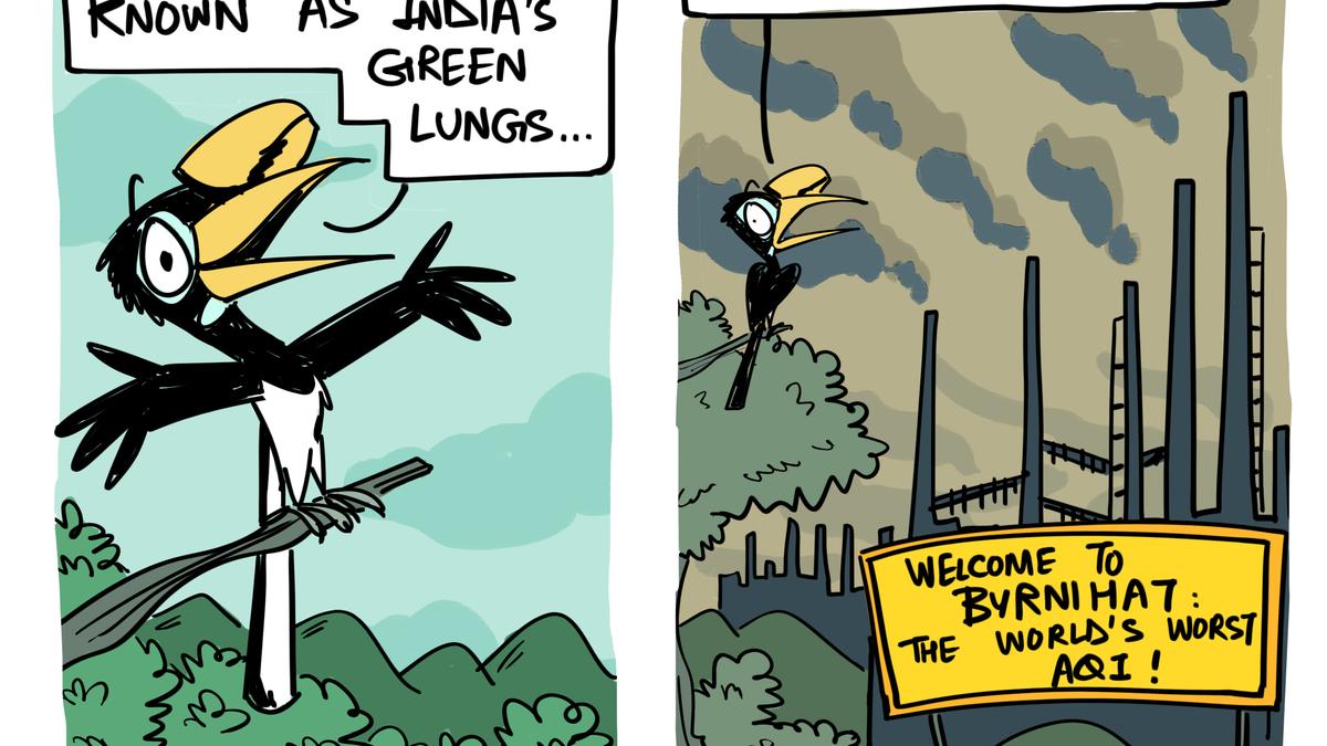 Byrnihat: world’s most polluted air | Green humour by Rohan Chakravarty ...