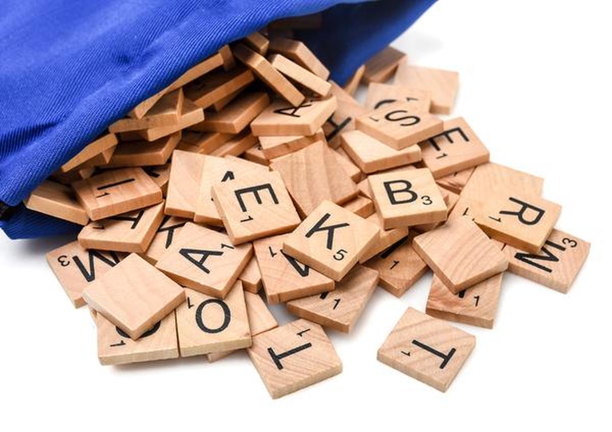 Meet scrabble champ Ranganathan Chakravarthy, Mohan Verghese Chunkath ...