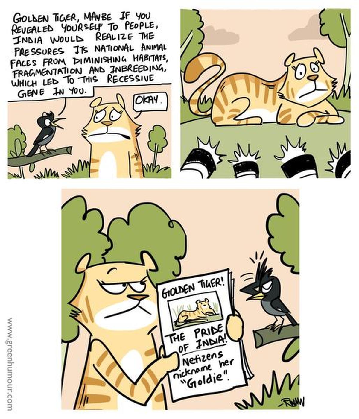 Green Humour by Rohan Chakravarty - The Hindu