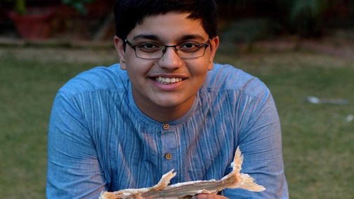 At 17, Arsh Ali is already an archaeologist - The Hindu