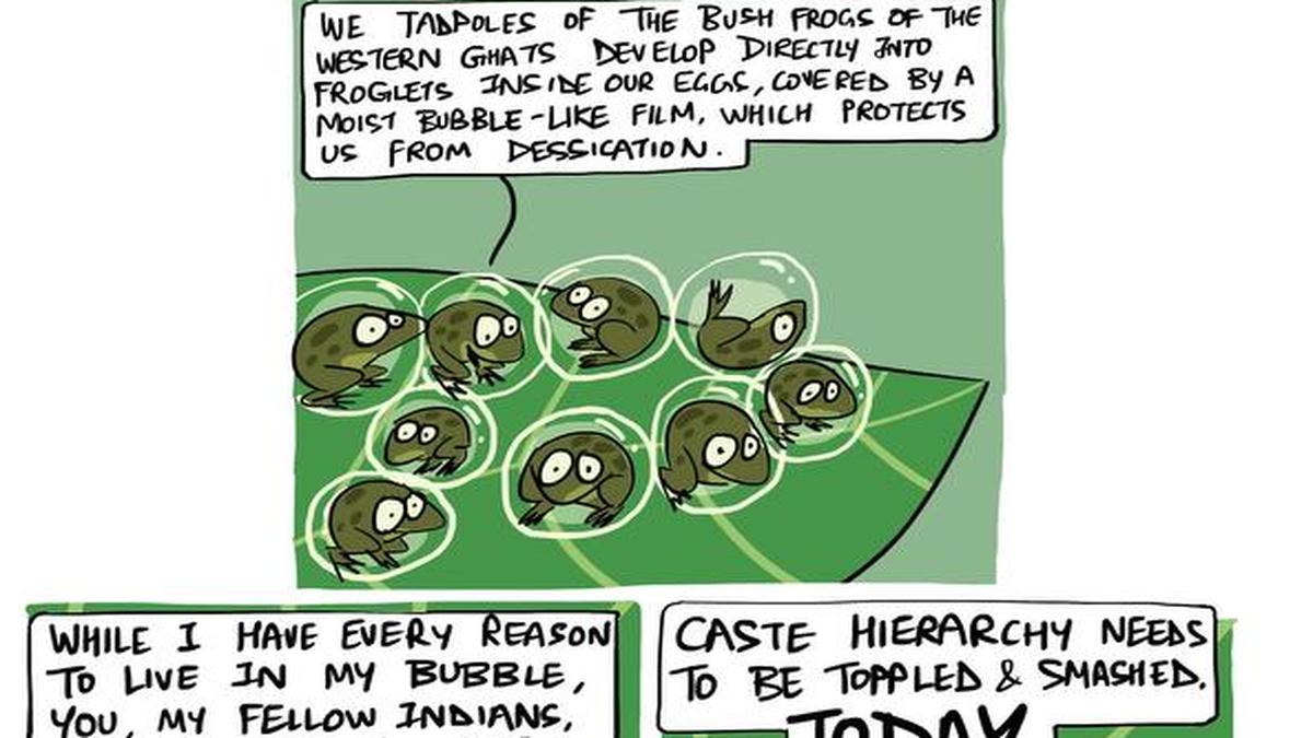 Green Humour by Rohan Chakravarty - The Hindu