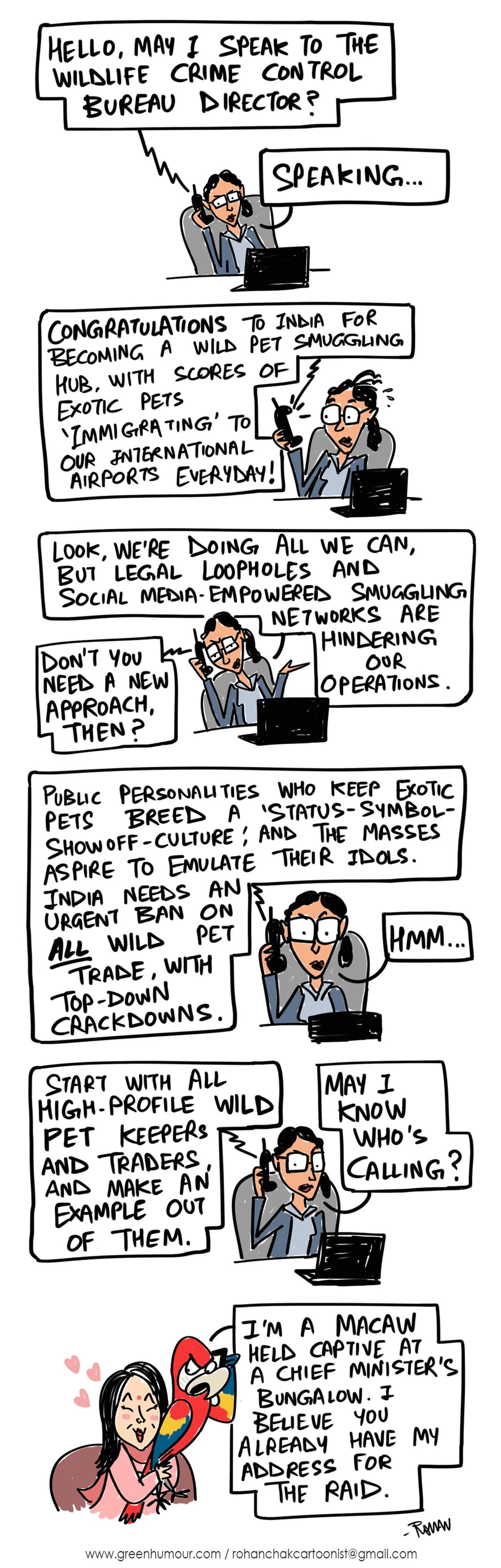 On wild pet smuggling in India | Green Humour by Rohan Chakravarty ...