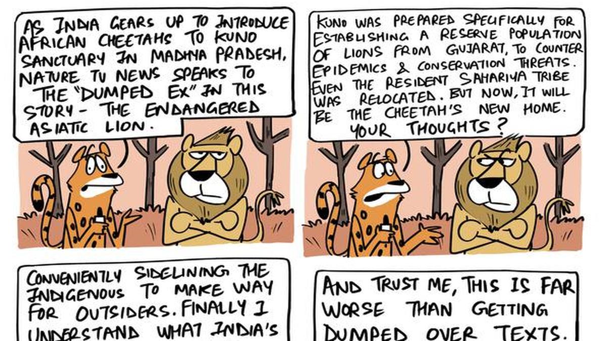 Green Humour by Rohan Chakravarty - The Hindu