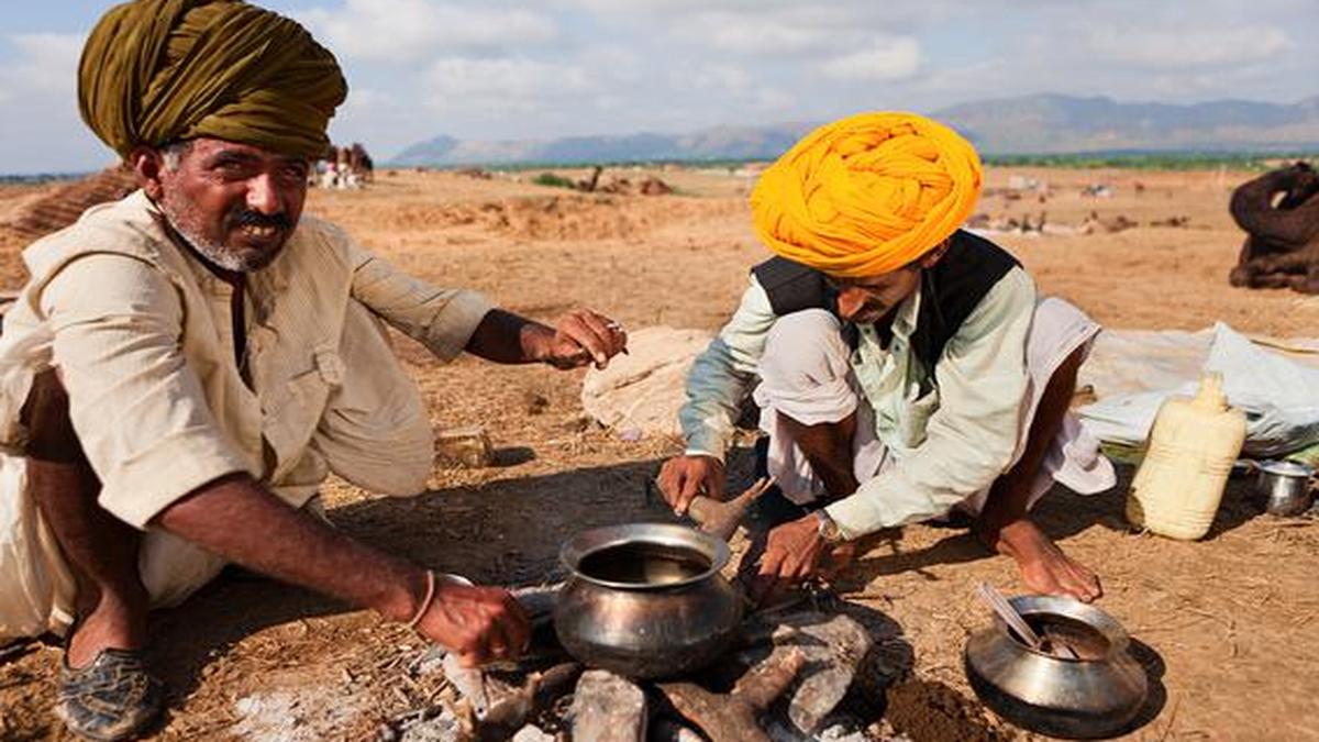 Ker sangri is a signature dish of Rajasthan - The Hindu