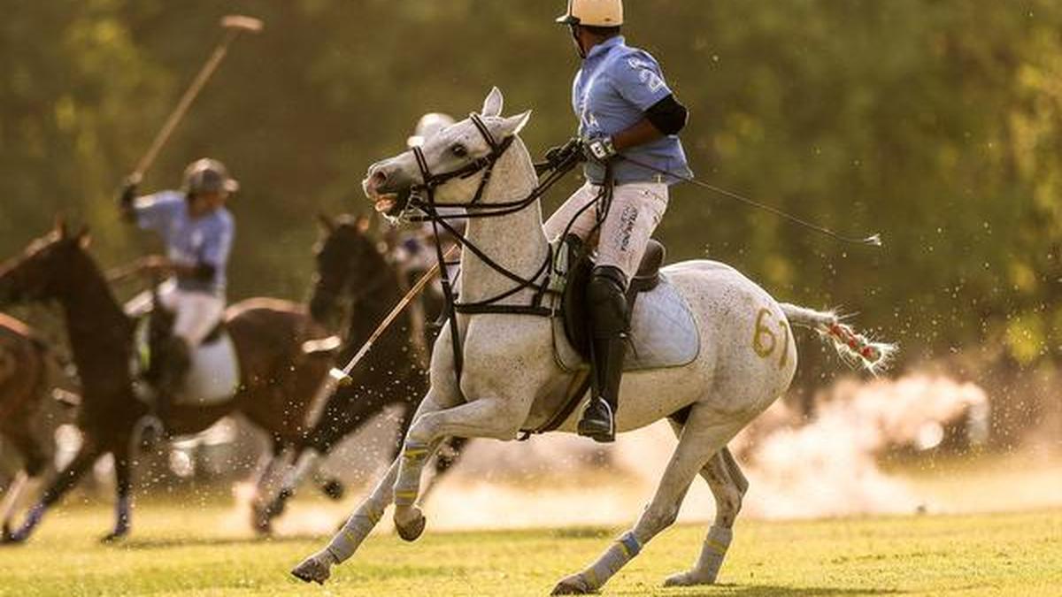 Polo to the people: the journey of the game beyond royals and the Army ...