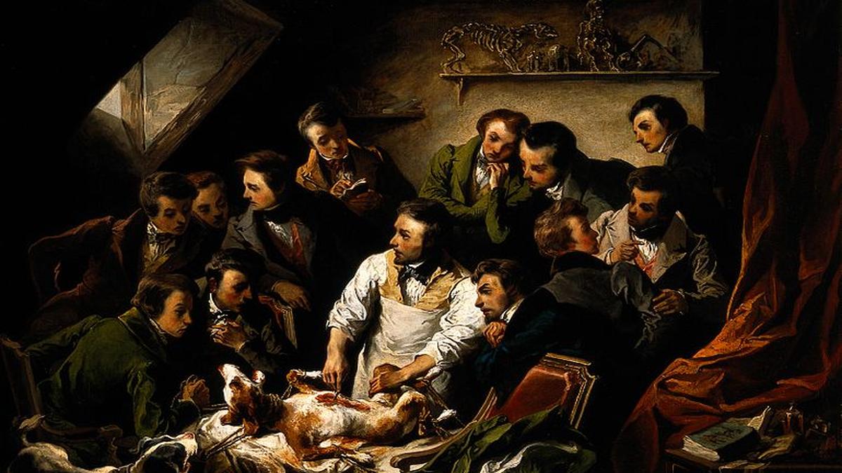 Dissecting vivisection to marry science with medicine - The Hindu