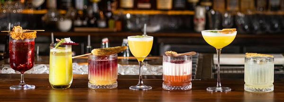 A Matter of Taste | Finding inspiration in prohibition - The Hindu