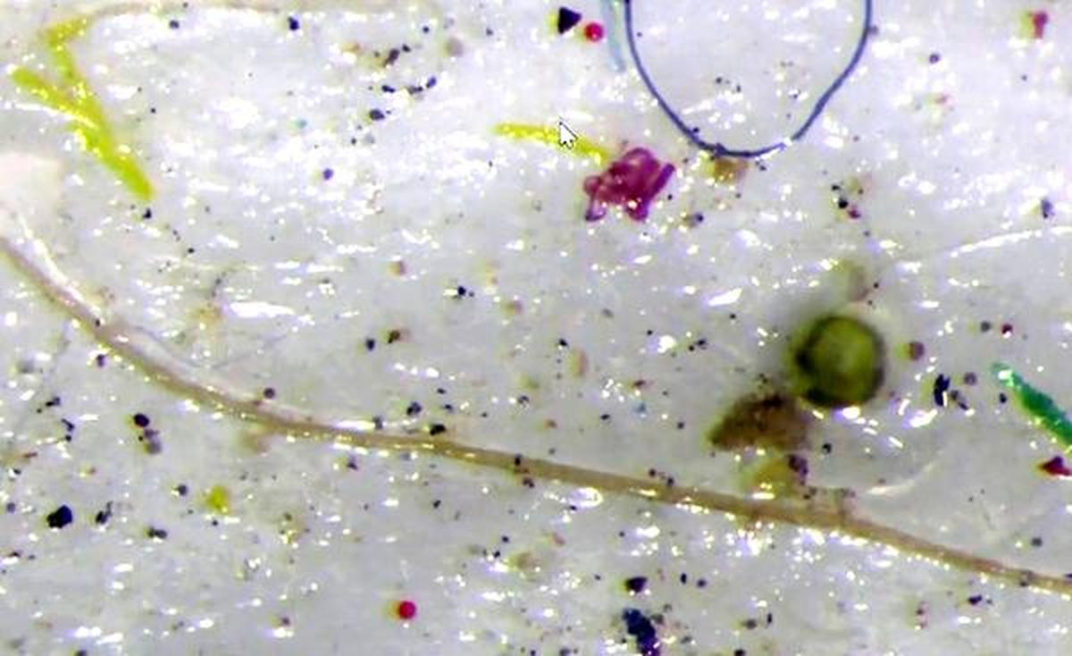 Microplastics discovered in fresh Antarctic snow for first time - The Hindu
