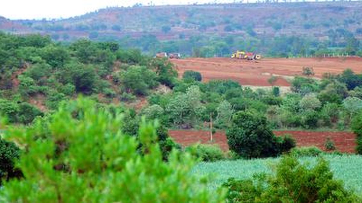 The NIMZ bedlam - The Hindu