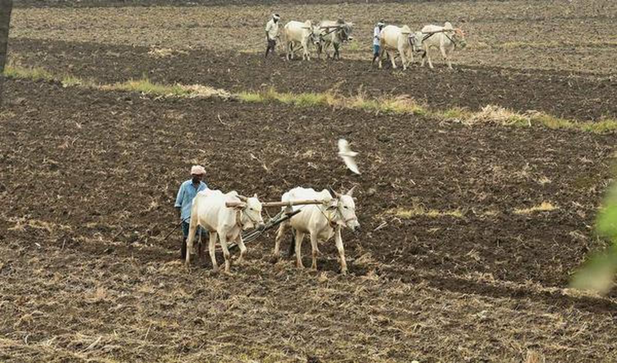Erratic rain pattern makes farming an unsustainable future in Andhra ...