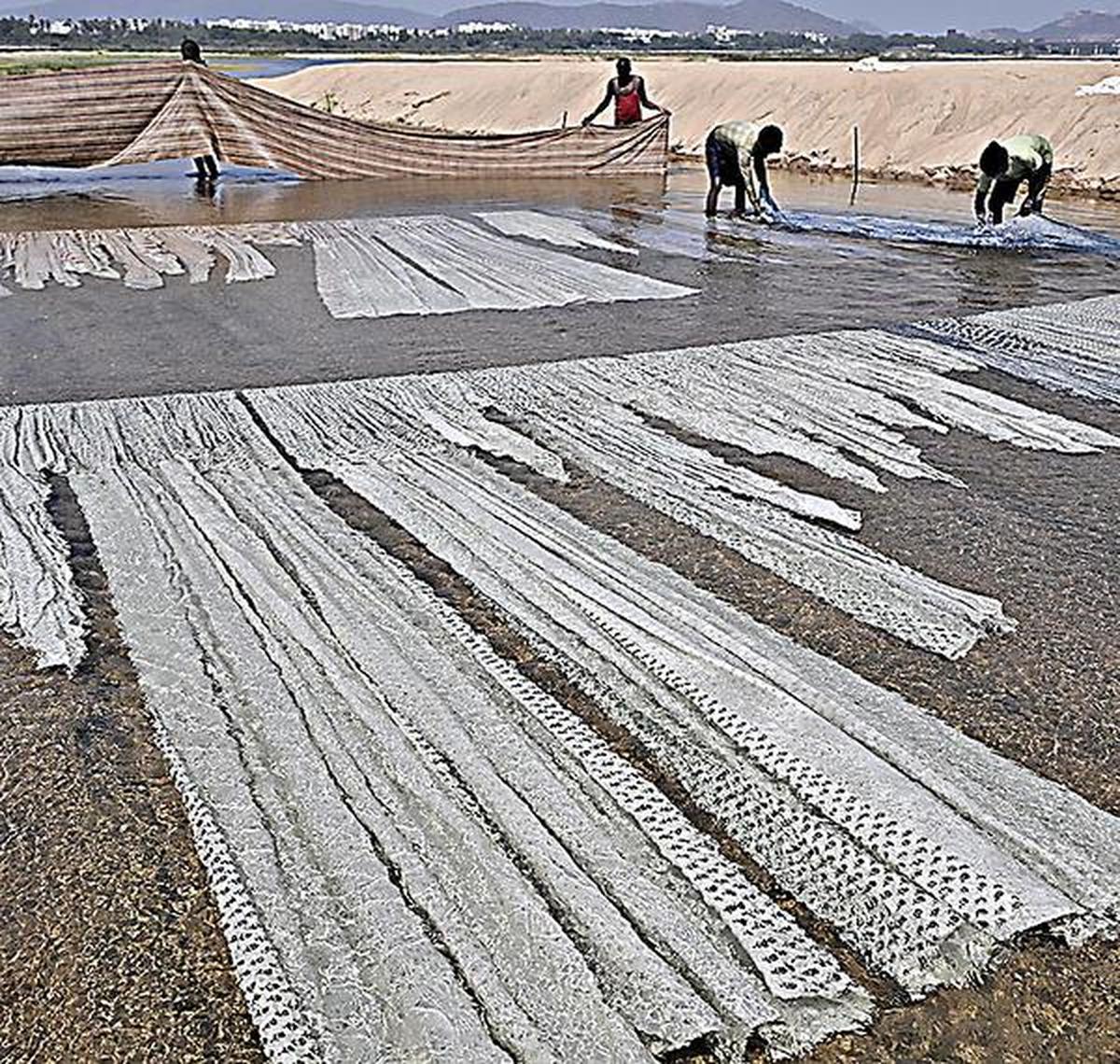 Tradition in tatters: Kalamkari colours fading in A.P.’s Pedana - The Hindu