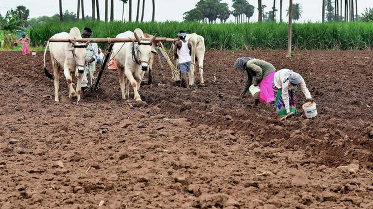 Erratic rain pattern makes farming an unsustainable future in Andhra ...