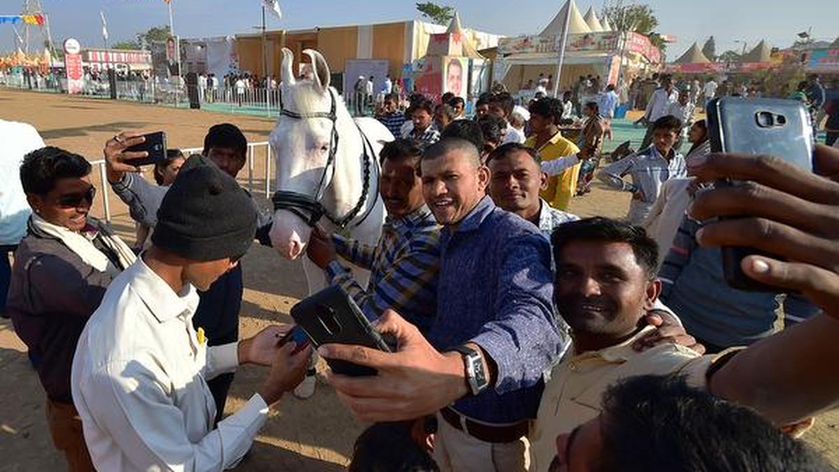 24% of Indians have a smartphone, reveals Pew study - The Hindu