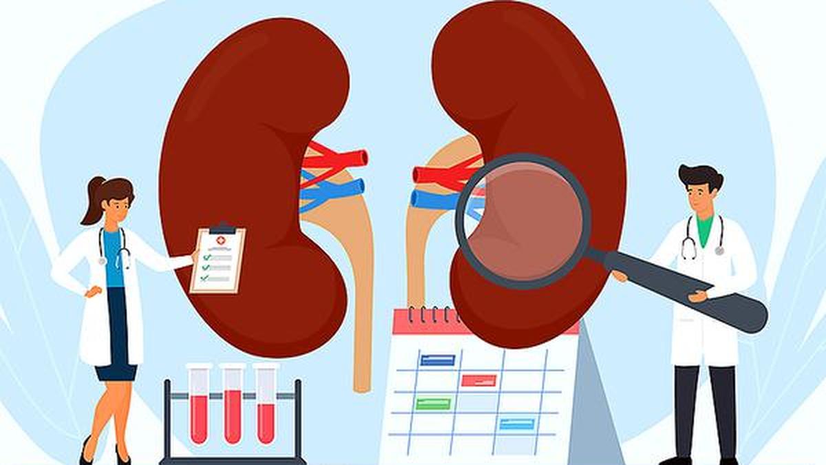 Kidney racket unearthed in Vijayawada, Home Minister seeks thorough ...