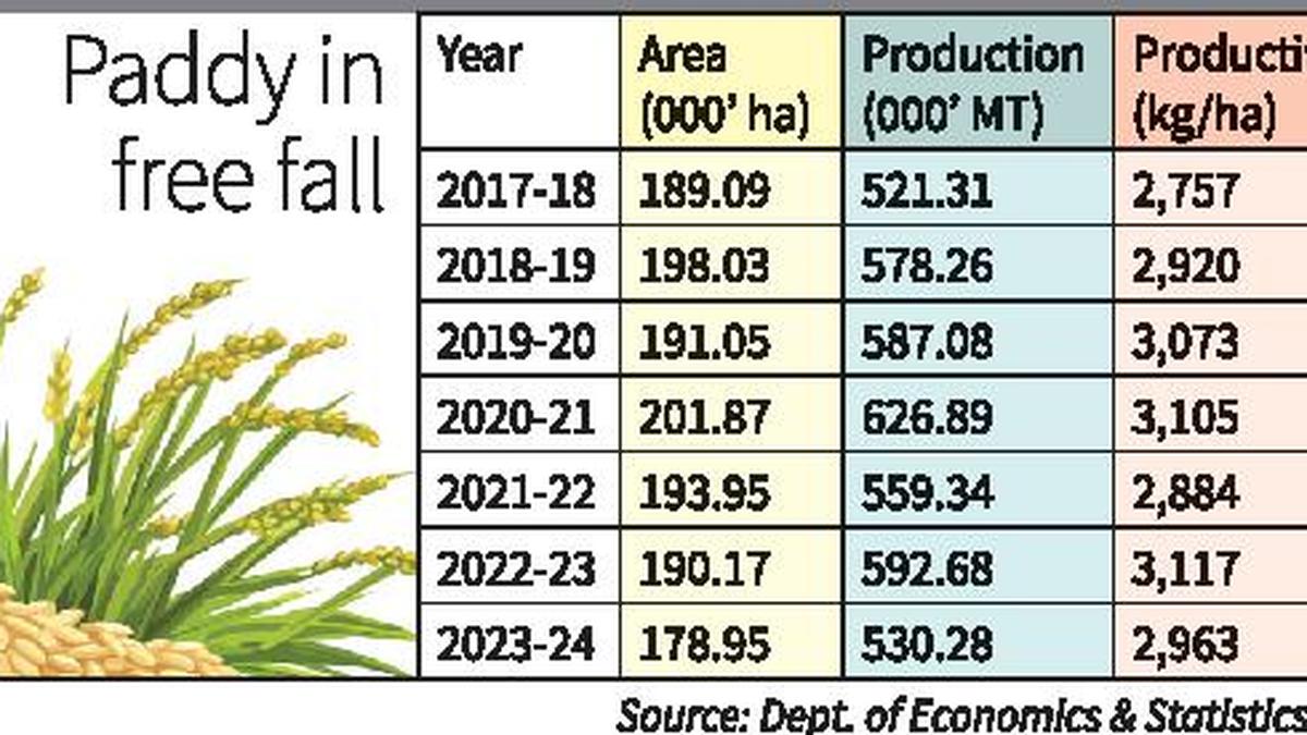 Declining trend in paddy cultivation continues in Kerala - The Hindu