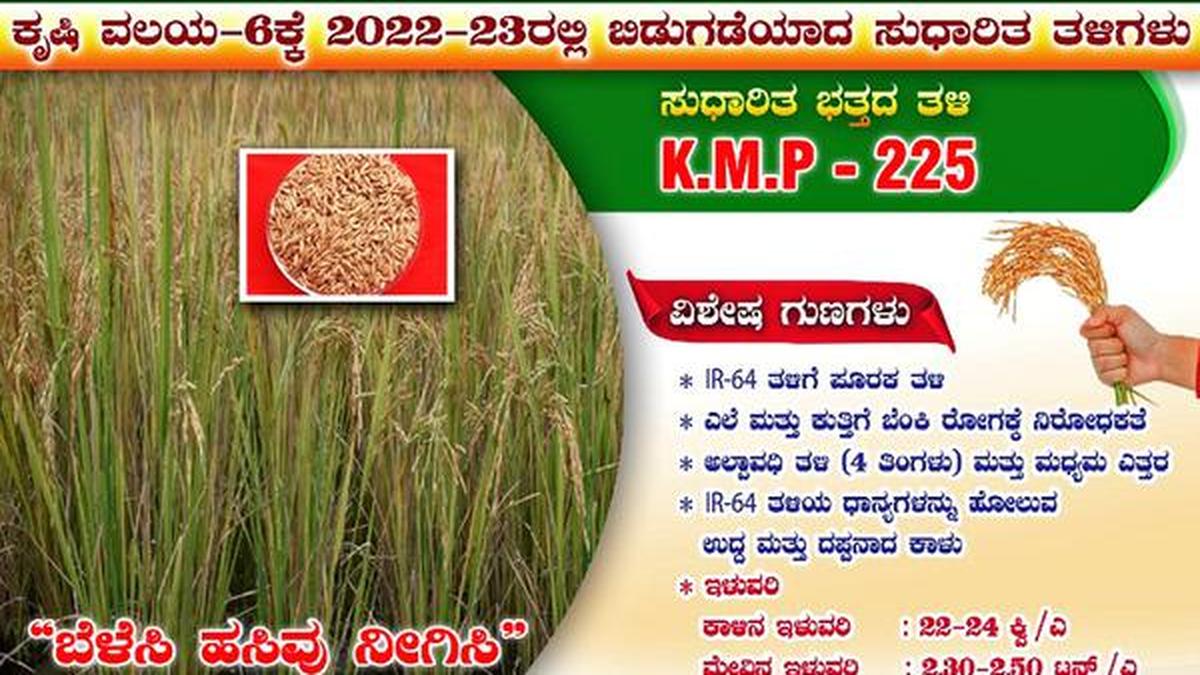 New farm technologies and crop varieties to be showcased during Krishi Mela in Mandya - The Hindu