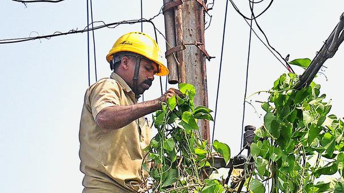 KSEB to enforce safety norms for contract workers - The Hindu