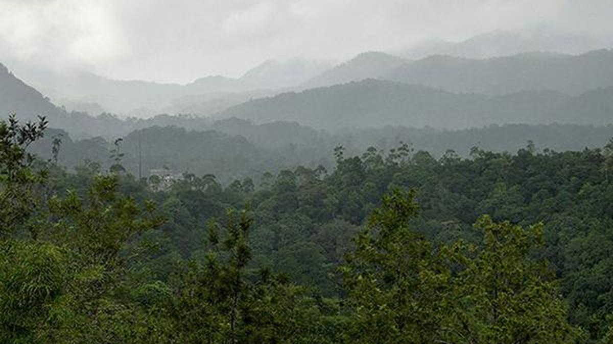 Forest (Conservation) Amendment Bill, 2023: Does it aim for climate ...