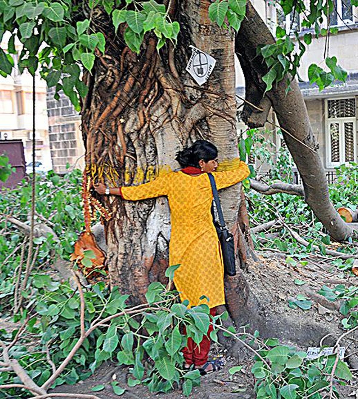 The debate around the Forest Conservation Rules - The Hindu