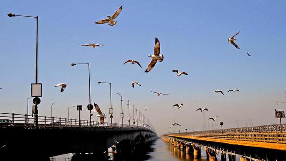 ‘Suicide hotspot’ old Vashi bridge awaits higher fence - The Hindu