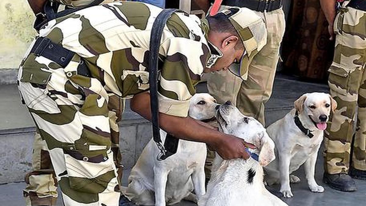 CISF dog squad gets ready to secure Delhi Metro's Pink line - The Hindu