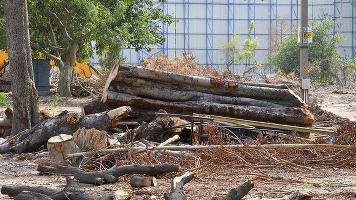 Land ‘crisis’ for compensatory afforestation may hit development ...