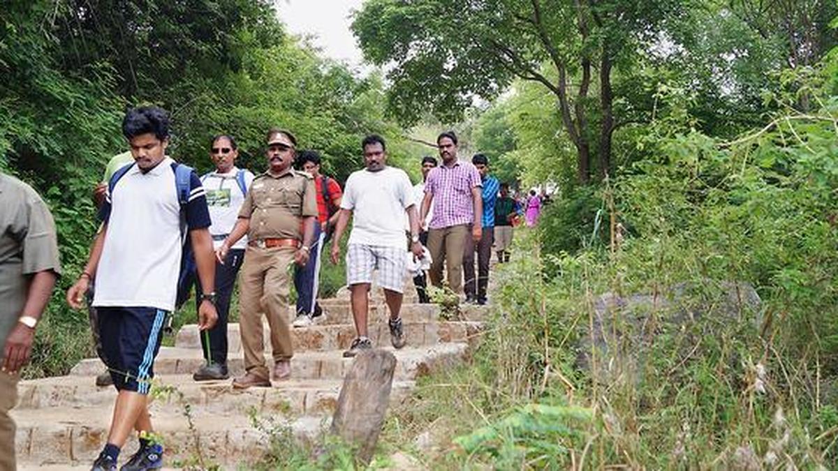 Pachamalai hills reopens to trekkers - The Hindu