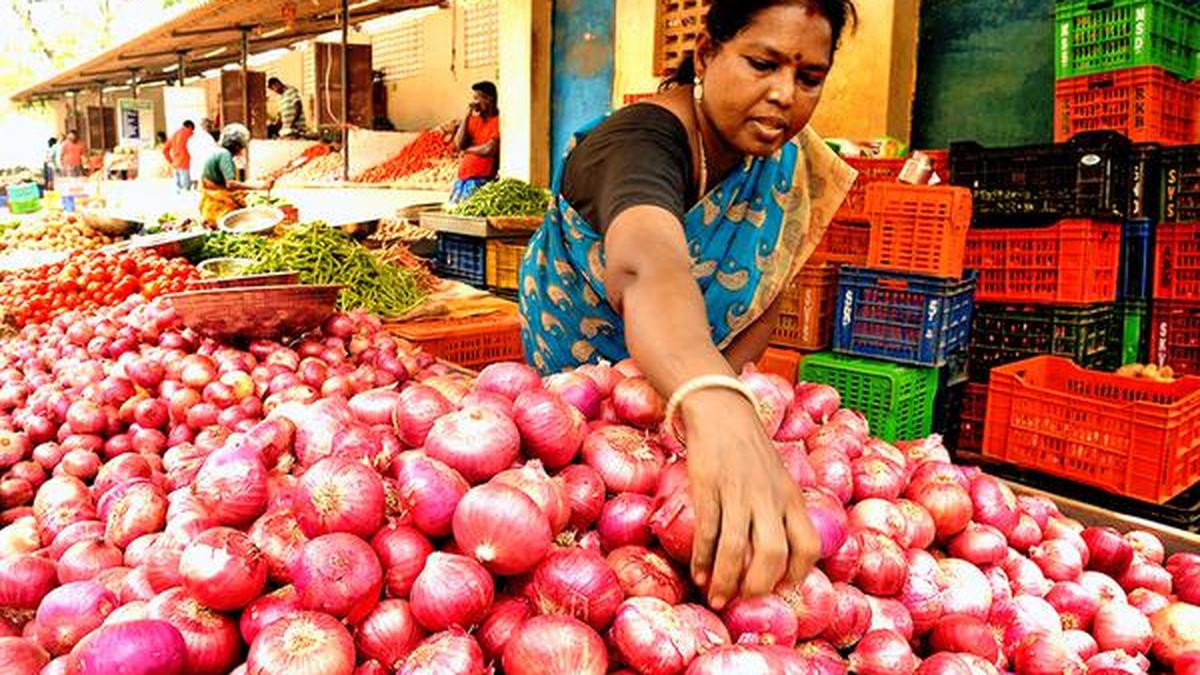 Onion export ban to continue till March 31: Govt - The Hindu
