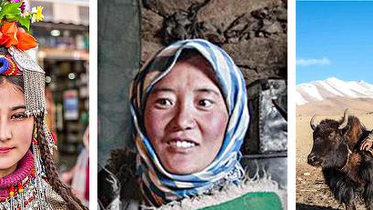 CCMB scientists unravel origins of Ladakh people - The Hindu