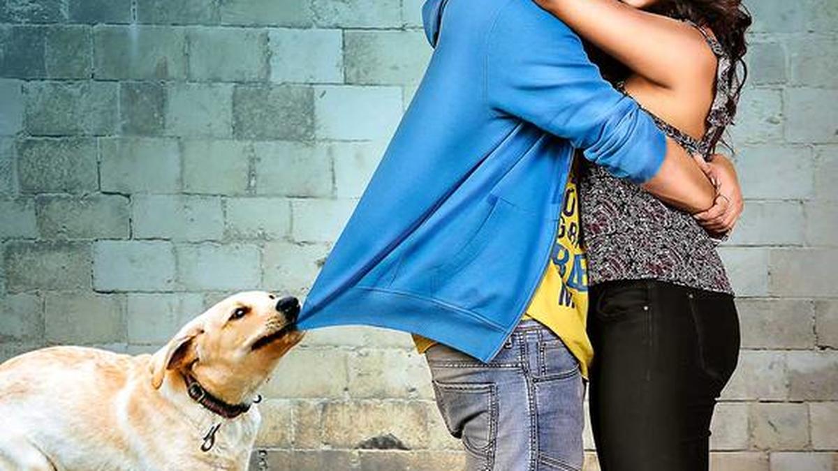 Kittu Unnadu Jagratha: The dog has its day - The Hindu