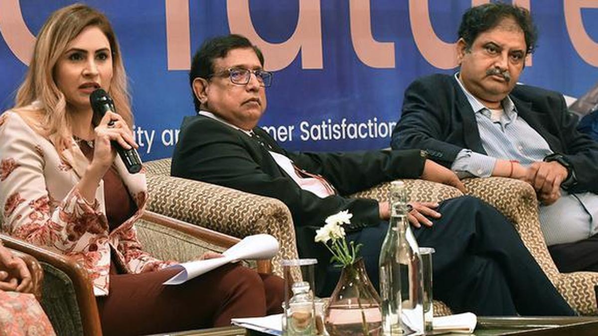 TruJet gets new investor, may take to skies again - The Hindu