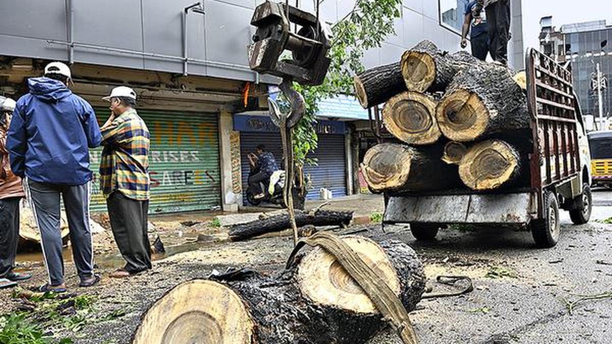 38 trees fell in GHMC limits, 37 cleared; HYDRAA asks people to call its helpline numbers - The ...
