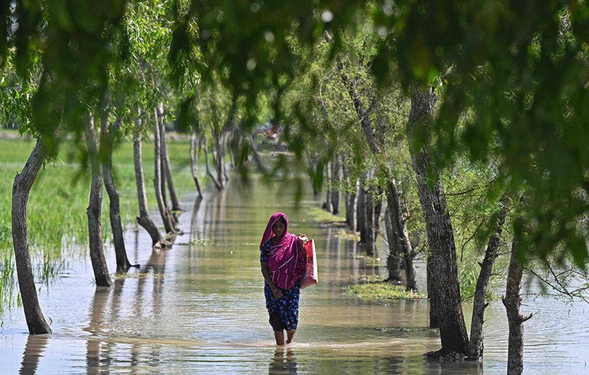 Watch | Cyclone Sitrang’s trail of destruction - The Hindu